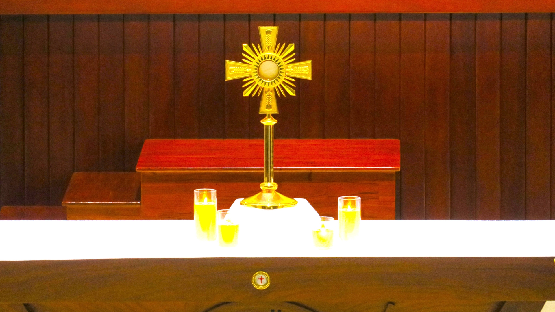 GIỜ CHẦU THÁNH THỂ CHÚA NHẬT II THƯỜNG NIÊN NĂM A | Dòng Đức Bà Truyền Giáo